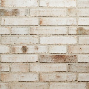 Divum White Flashed | Marshmoor Bricks